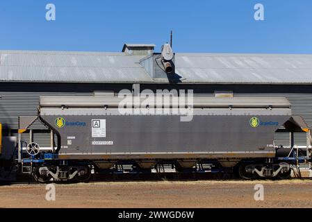 Watco Train outloading H2 grade wheat from silos at Grain Corp Roma ...