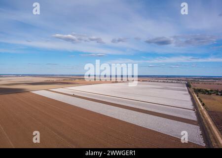 Aerial of commercial broad acre cotton fields being harvested near ...