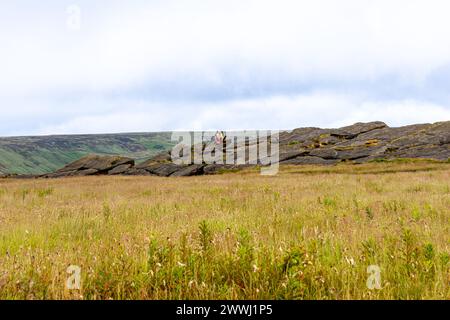 The beauty of Saddleworth Moor Stock Photo - Alamy