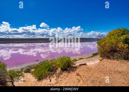 Colors and reflections of Pink Lake, Port Gregory. Western Australia ...