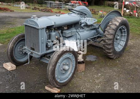 A vintage 1939 grey Ferguson Brown Model A farm tractor for sale at an ...