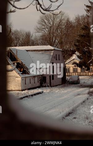 Tree and Timber Framing Barn Stock Photo - Alamy