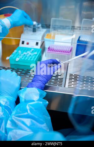 Infectious disease specialists analyze biomaterial in a sterile room ...