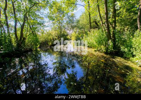 Heme garden at Kralingen Forrest Kralingen Forrest, Rotterdam ...