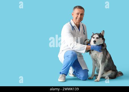 Male veterinarian with cute husky dog on white background Stock Photo ...
