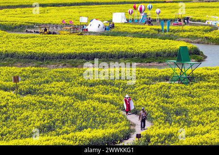 Aerial photo shows blooming cole flowers at a park in Shenyang City ...