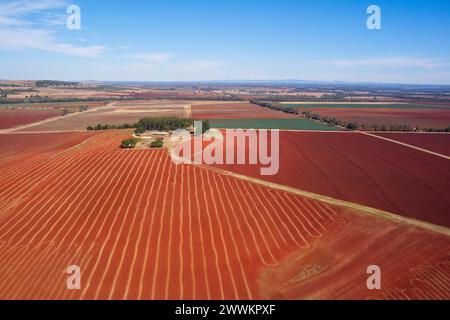 Aerial of freshly ploughed red volcanic soil farmland near Wooroolin ...