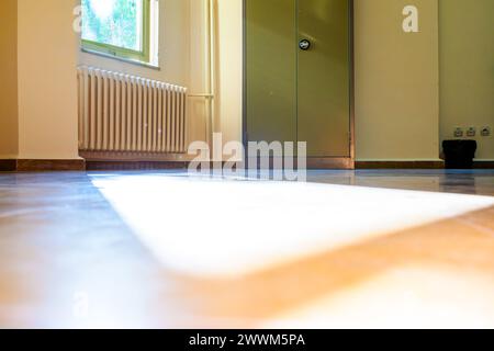 Sunny-office-home-inside creates a productive and cheerful workspace ...