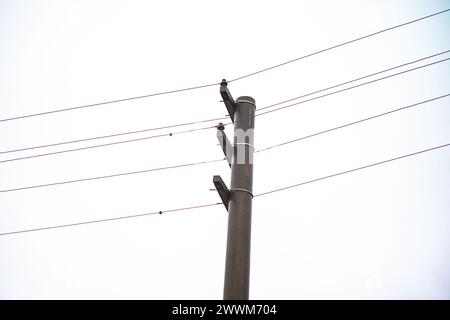 Amidst the cityscape, electric columns and cables weave a web of energy ...