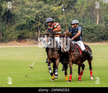 Indien, Jaipur, Rambagh, Rajasthan Polo Ground Stock Photo - Alamy