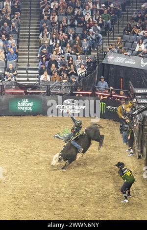 A rider holds onto a bull at the Professional Bull Riders' (PBR ...