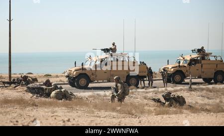 FAILAKA, Kuwait (Feb. 5, 2024) Marine Brig. Gen. Matthew Reid ...