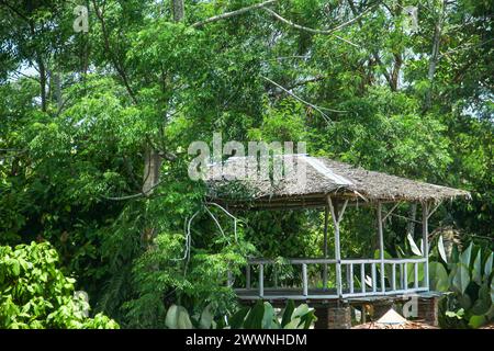 Tree huts made of wood and traditional roofs are located next to lush ...