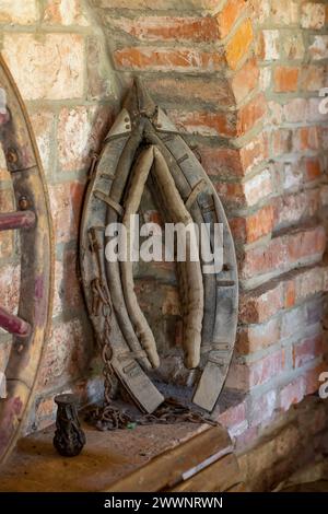 Old country farm, Moravska Nova Ves, Southern Moravia, Czech Republic ...
