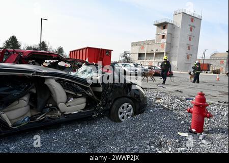 Maryland Task Force 1 (MD-TF1) and Virginia Task Force 1 (VA-TF1) of ...
