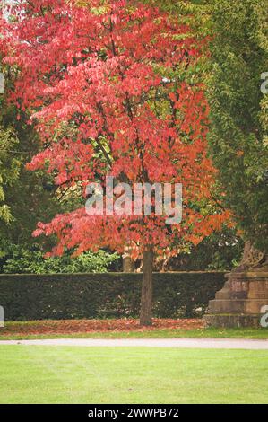 different aspects of colors in nature during autumn period Stock Photo ...