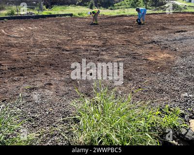 USACE contractors collect soil samples from cleared debris sites in ...