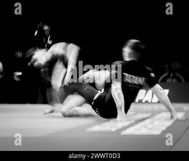 Polaris Professional 27 Brazilian Jiu-Jitsu event, televised on UFC ...