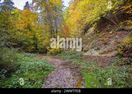 dried up stream in the Isarhangleiten nature reserve, Germany, Bavaria ...