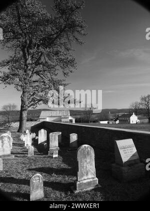 Lone tree in black and white Infrared Stock Photo - Alamy