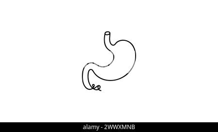 Single continuous line of Stomach. Line art of Stomach human organ ...