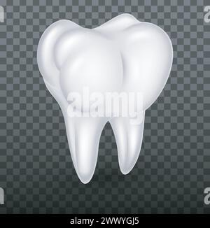 Realistic Teeth isolated on transparent background. Vector illustration ...