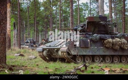 Light armored infantry units assigned to 3rd Battalion, 69th Armor ...