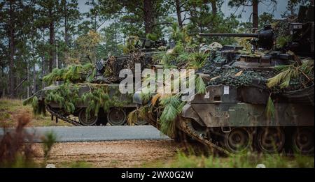 Light armored infantry units assigned to 3rd Battalion, 69th Armor ...