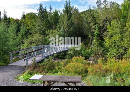 Mount Megantic Sepaq hiking trail Franceville sector. Pedestrian bridge ...