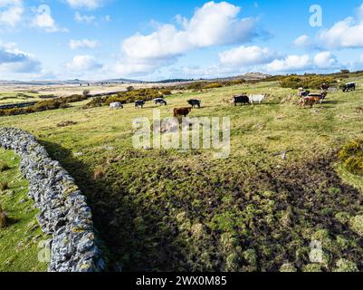 Farms over West Dart River in Dartmoor National Park, Devon, England ...