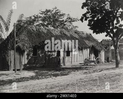 Original Caption: Spanish American War - Typical Cuban cabin ca. 1898 ...