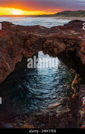 Phillip Island Victoria Australia at Forrest caves Stock Photo - Alamy