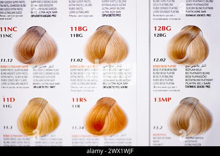Hair color, chart and closeup of swatches at hairdresser for tone ...