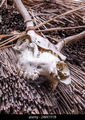Celtic roundhouses at Mere Tun Roundhouse Village, Martin Mere ...
