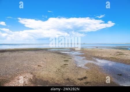 The sea lagoon (embayment). Shell beaches (crag) and islands (cockle ...