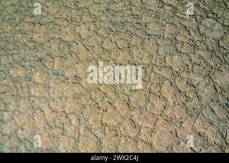 Pedology. Polygonal structure. Dried-up lake basin (dry lakebed ...