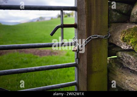 A padlocked gate into a farm field, Cumbria, England, United Kingdom ...
