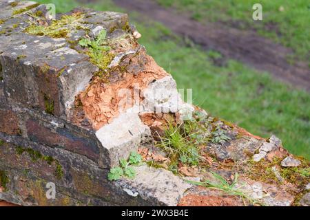 Frost Damaged Crumbling Brickwork On A Free Standing Wall Stock Photo ...