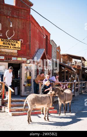 Wild burros walk through the historic gold mining town of Oatman ...