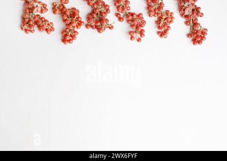 Organic Shepherdia berries background border. Food frame Stock Photo ...