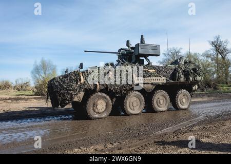 Radpanzer vom Typ Pandur der tschechischen Armee fahren auf deutsche ...