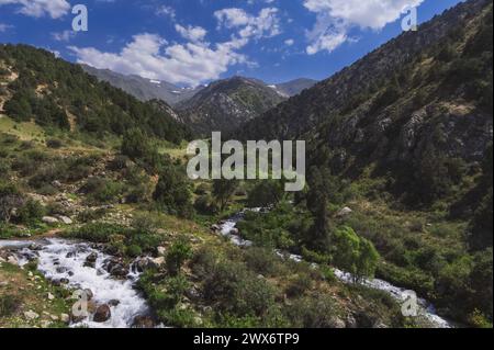 field with mountain rivers in the Tien Shan mountains in Kazakhstan in ...