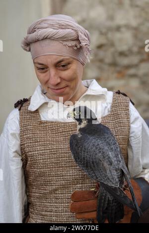 Falconry display at the festival with various birds of prey Taggia ...