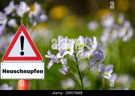 Sign with warning pollen hay fever allergy Stock Photo - Alamy