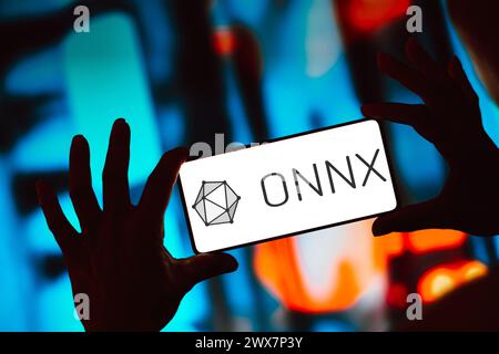 In this photo illustration, the Open Neural Network Exchange (ONNX ...