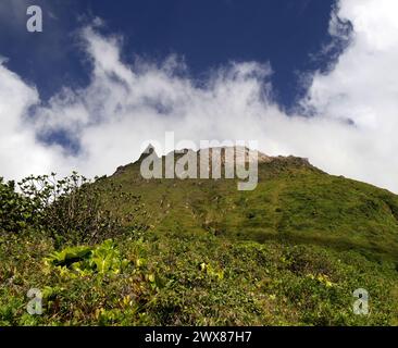 La Grande Soufriere, La Soufriere, Soufriere Volcano, active volcano ...