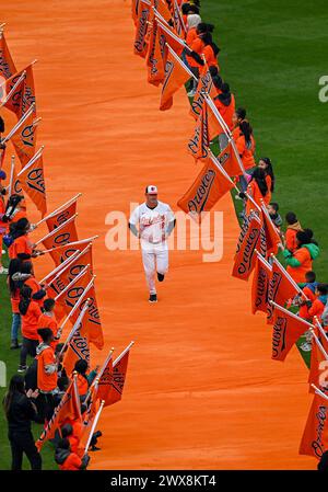 Baltimore Orioles manager Brandon Hyde argues with umpire John Bacon ...