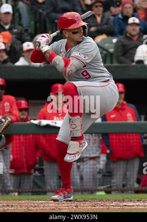 Los Angeles Angels shortstop Zach Neto autographs baseballs before a ...