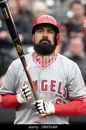 Los Angeles Angels third baseman Yoan Moncada misses a ball hit for a ...