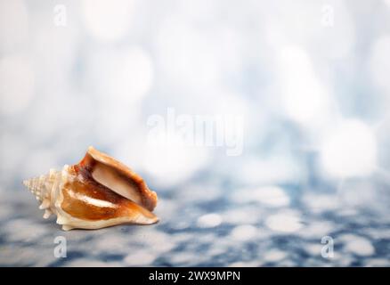 beautiful sheefish in front of blue background Stock Photo - Alamy